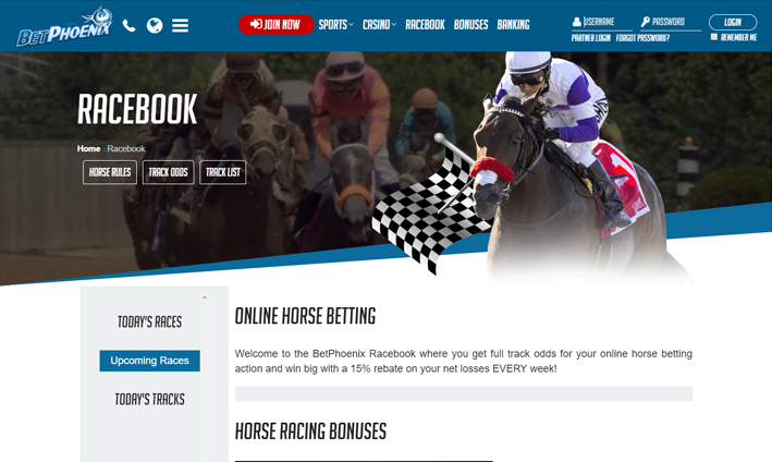 Complete Review of BetPhoenix - Full Analysis of BetPhoenix